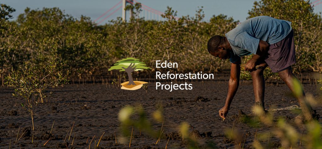 Reforestation Projects
