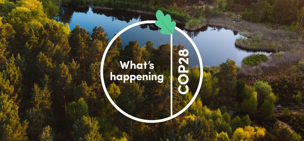 What is happening at COP28 | Ecologi