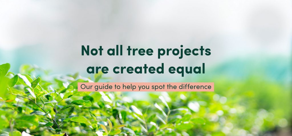 Not all tree projects are created equal: Our guide to help you spot the ...