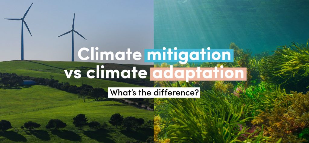 Climate mitigation vs climate adaptation: what is the difference? | Ecologi