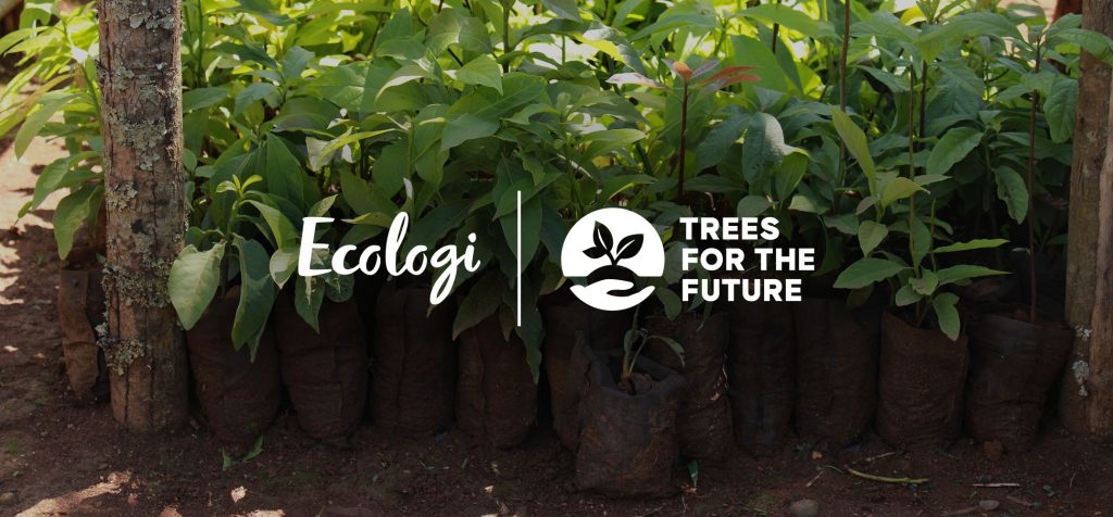 Planting forest gardens in Uganda | Ecologi