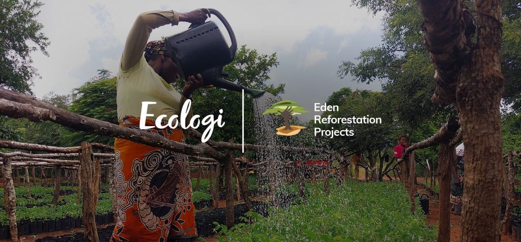 Reforestation in Changalane, Mozambique | Ecologi