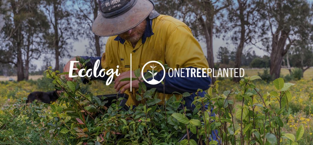 Our reforestation projects in Australia | Ecologi
