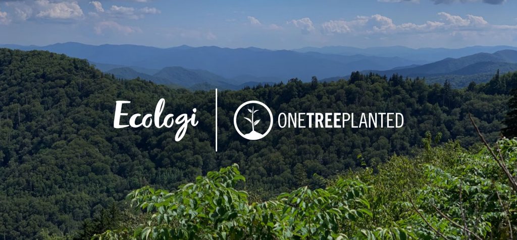 Rewilding the Appalachians, USA | Ecologi