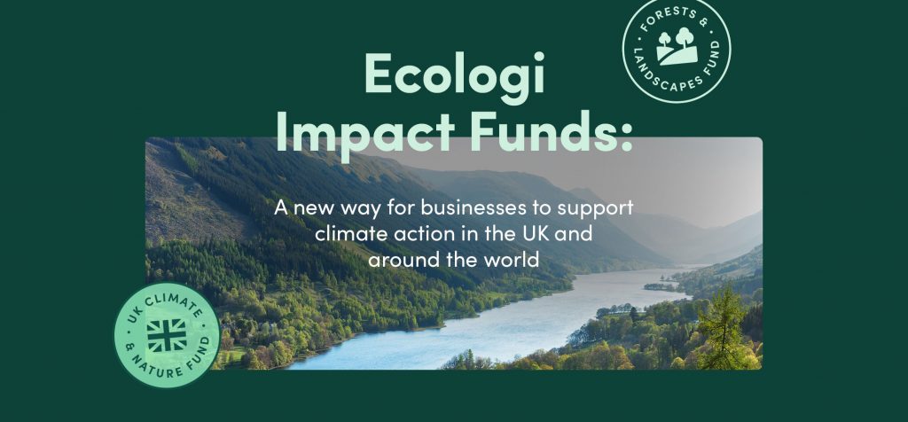 Ecologi Impact Funds: A new way to support climate action | Ecologi
