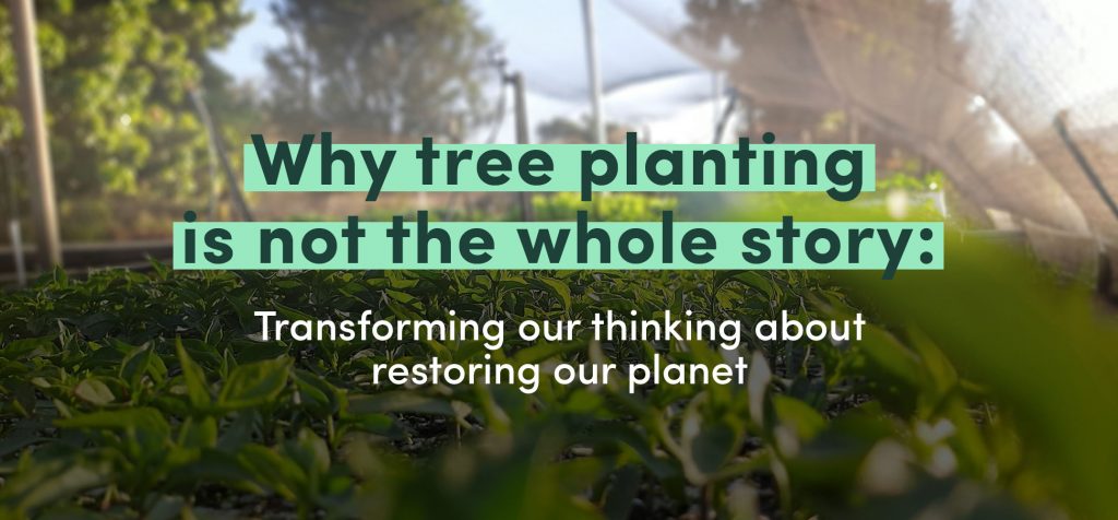 Why tree-planting isn’t the whole story | Ecologi